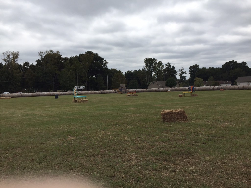 We Love Cabot - Autumn & Pumpkin Patches! - Owen Orthodontics